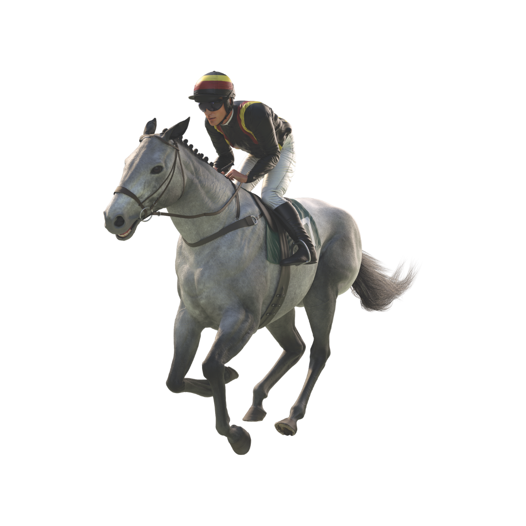 Flutter Processes 35m Bets as Punters Celebrate a Century of Cheltenham ...